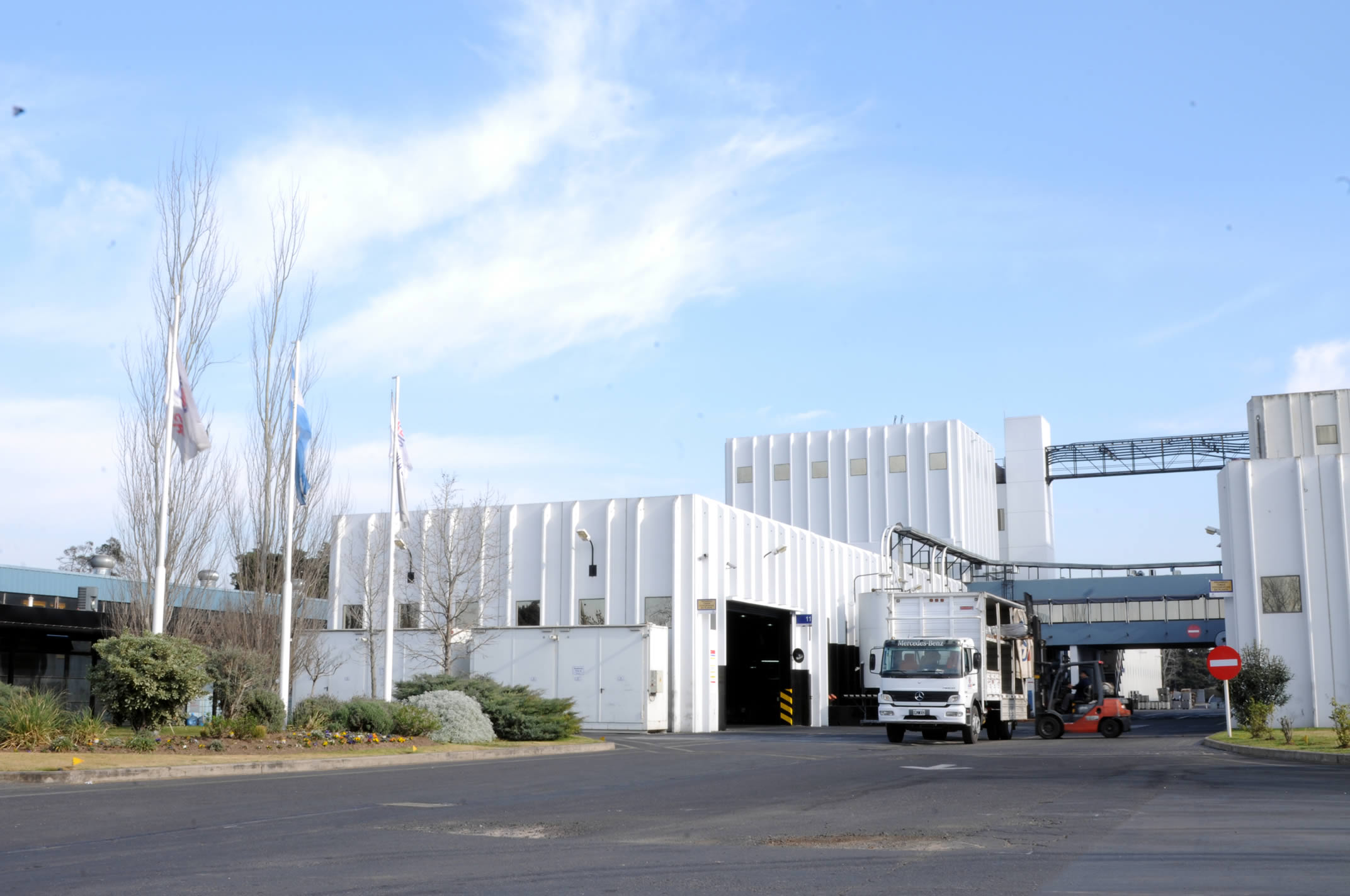 Servicios | Causer SA