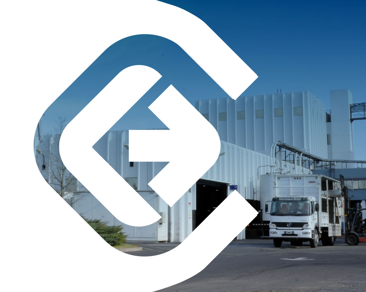 Institucional-eng - Causer